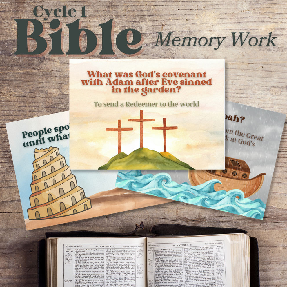Bible Facts Memory Work + Flashcards | Bible Foundations – Kimberly Vieley