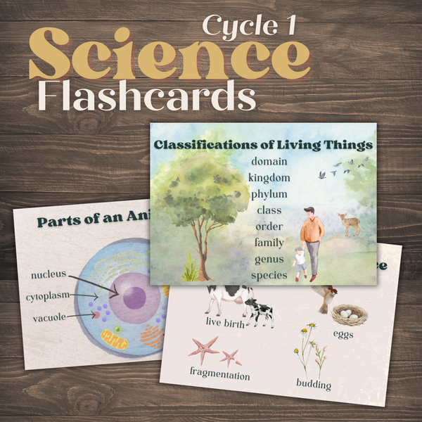 Cycle 1 Science Memory Cards – Kimberly Vieley