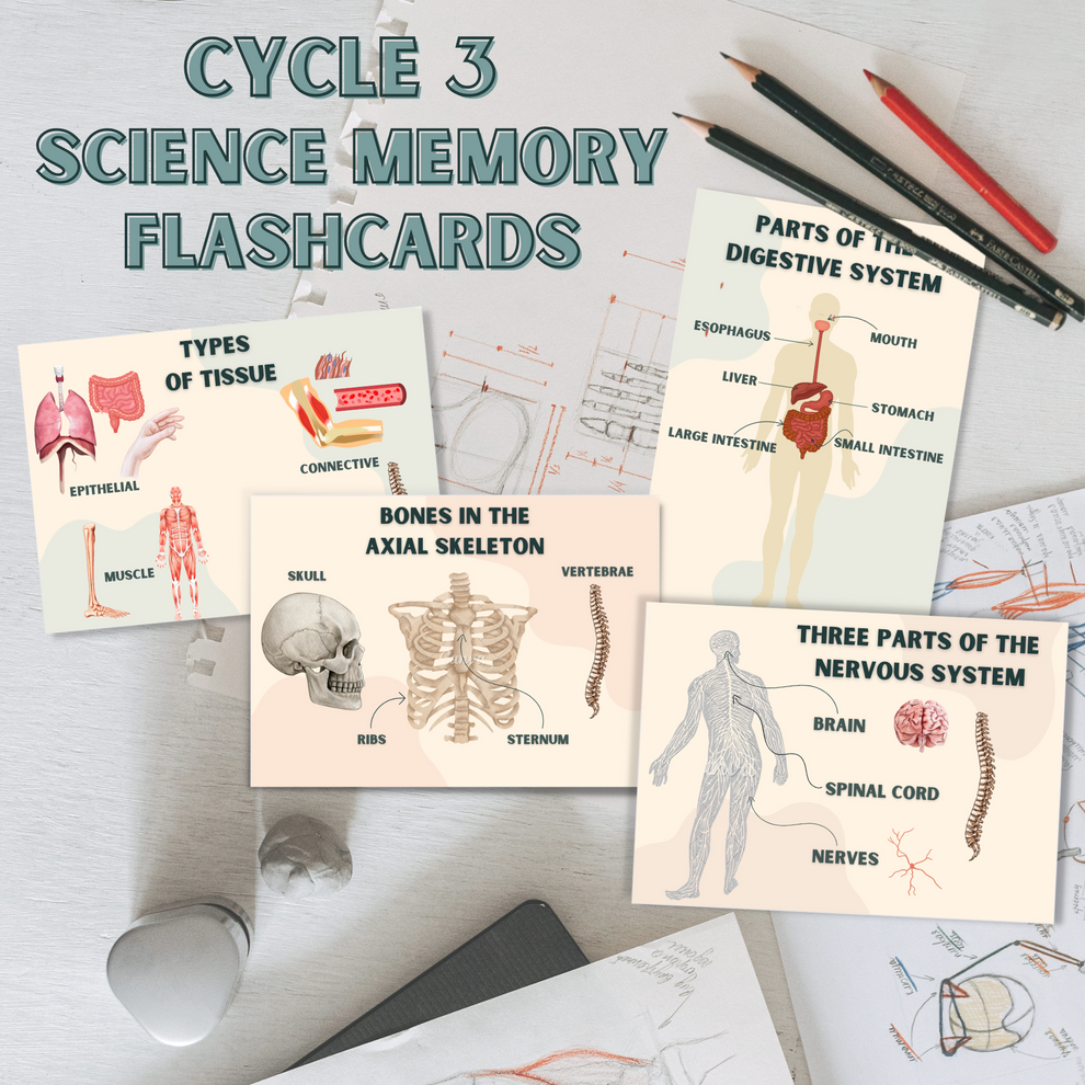 Science Memory Cards | Cycle 3 – Kimberly Vieley