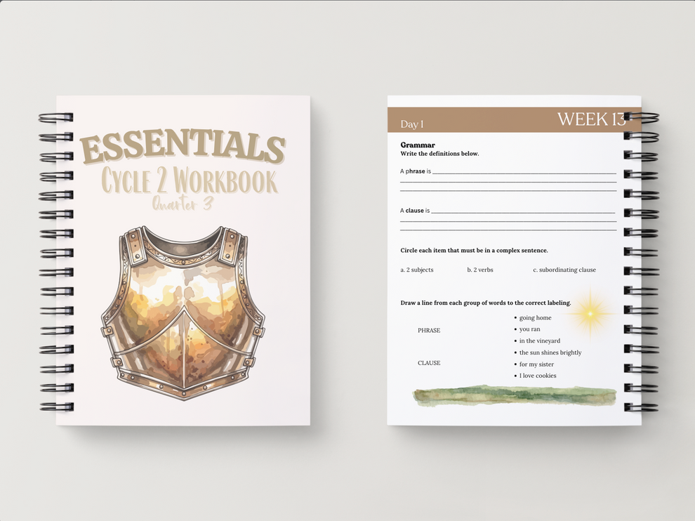 Cycle 2 Essentials Workbook | Quarter 3 – Kimberly Vieley