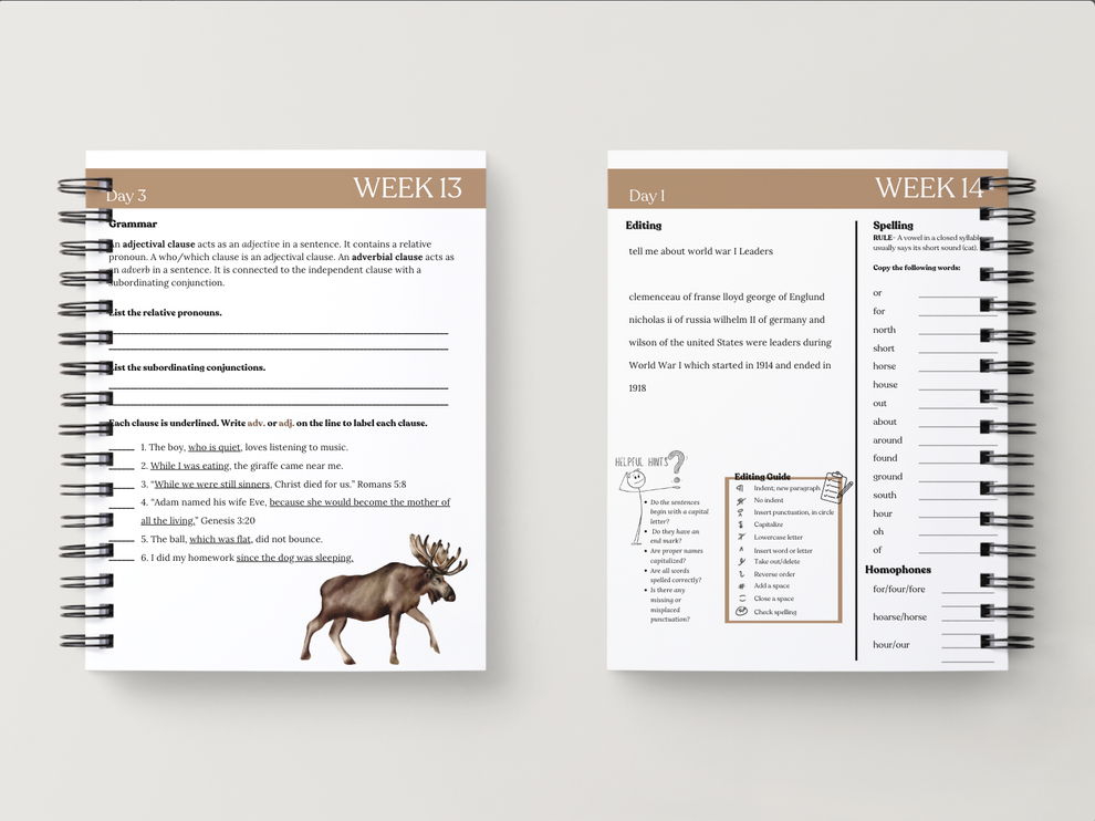 Cycle 2 Essentials Workbook | Quarter 3 – Kimberly Vieley